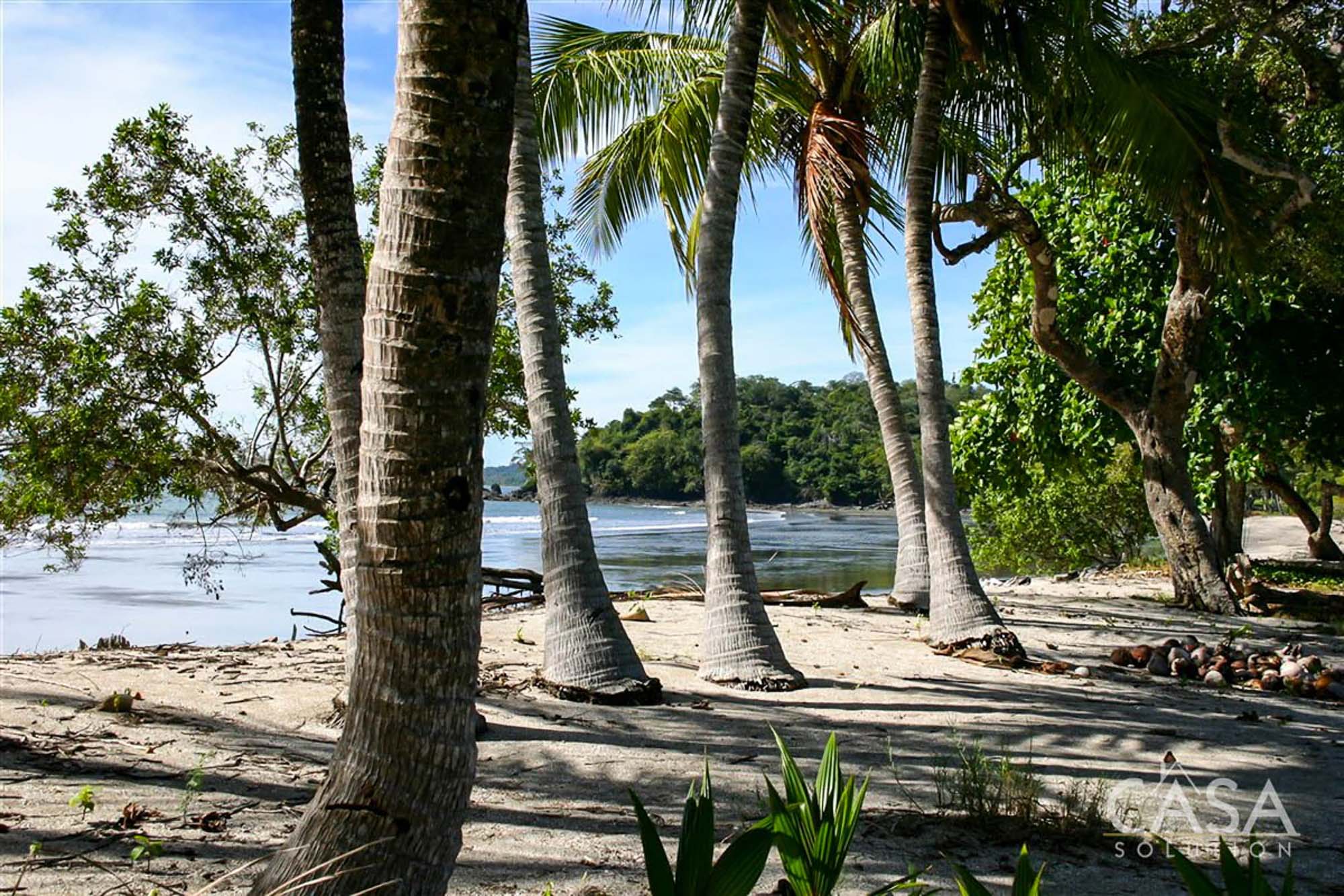 Price Reduction!! Your Own Tropical Getaway! On this 3,239 Sq. Meters ...