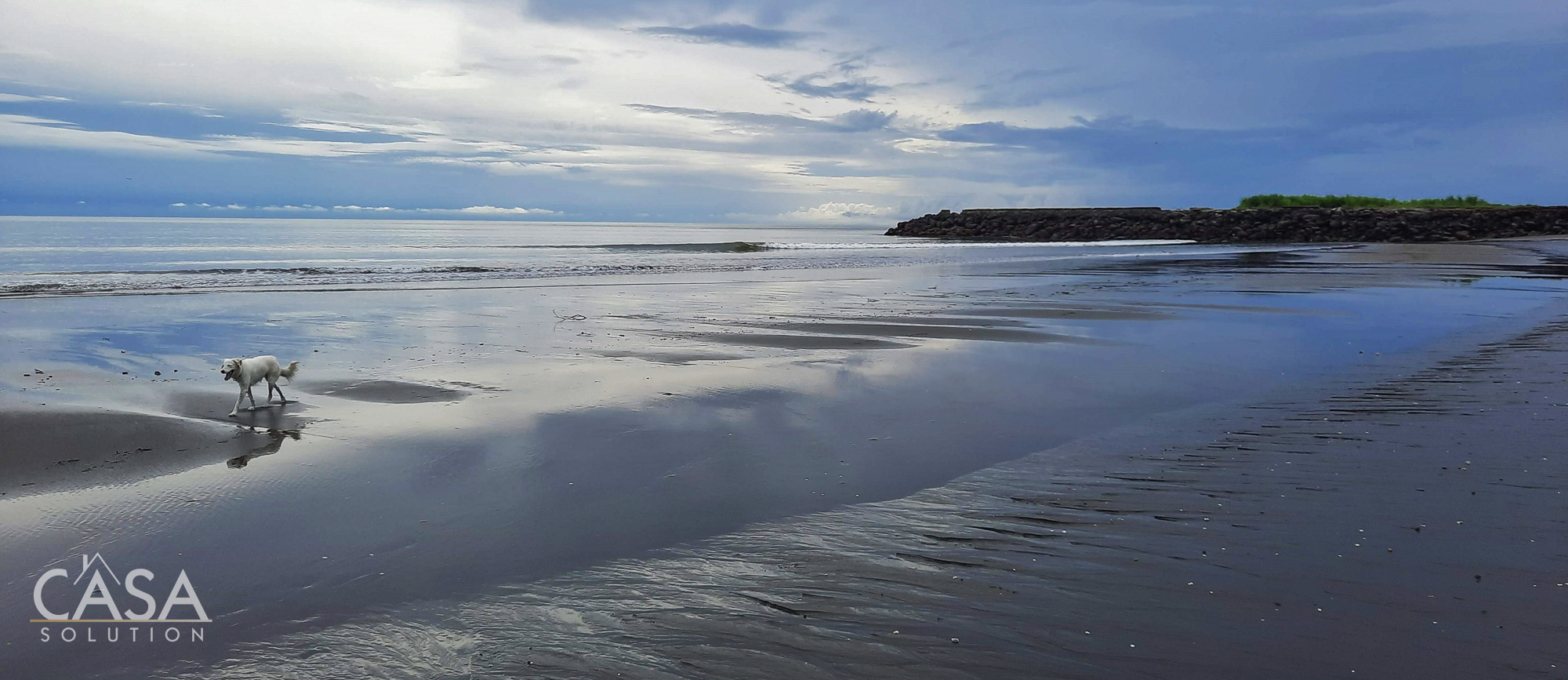 Oceanfront Retreat Compound - House plus Guest Cottage & Studio for ...